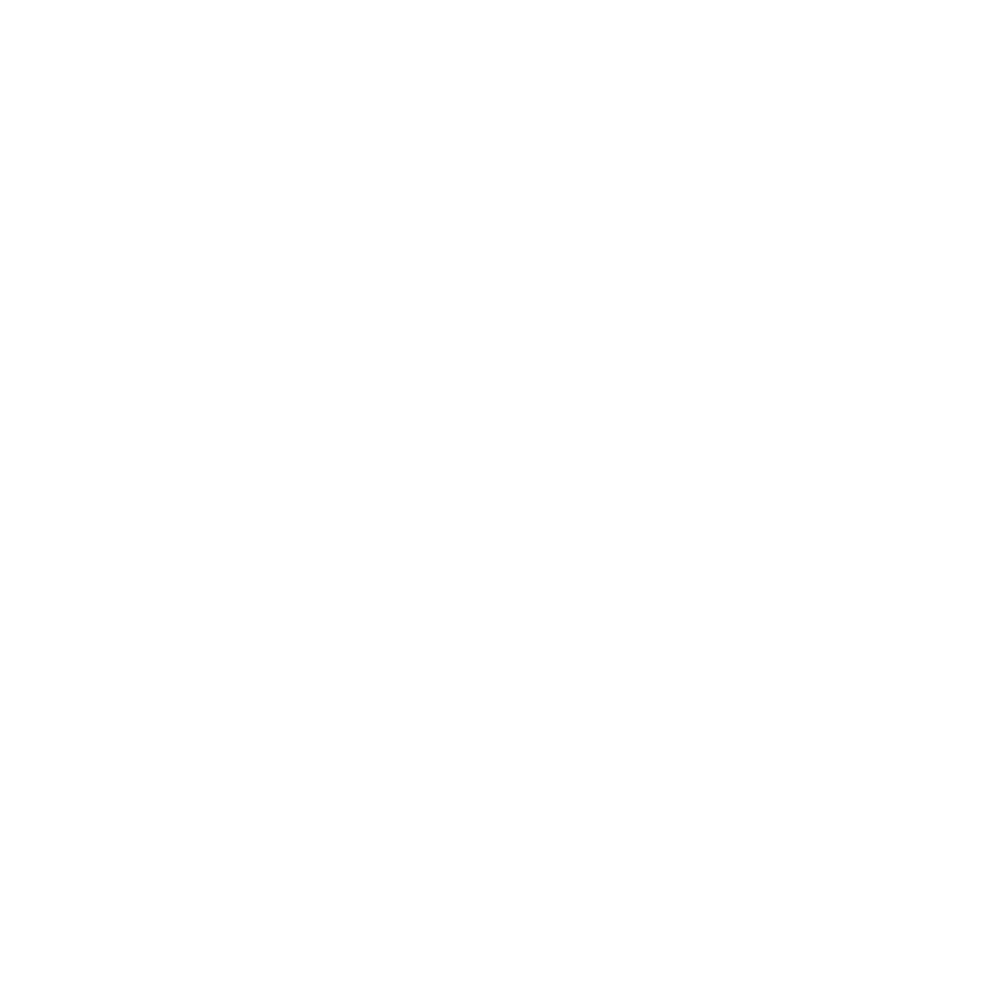 White logo – no background – Crafting Metrics